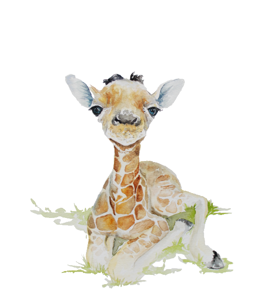 Baby Giraffe Watercolor